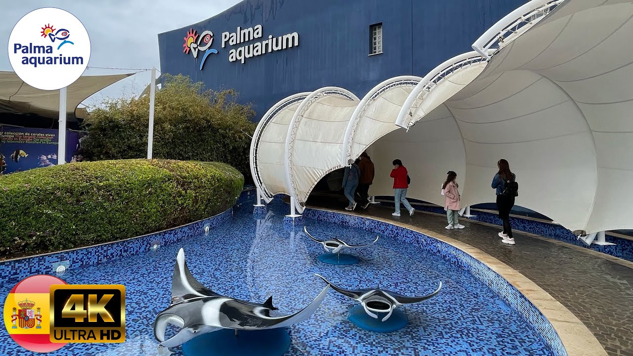 Palma aquarium Mallorca 🇪🇸 Spain 4K April 2022 - YouTube