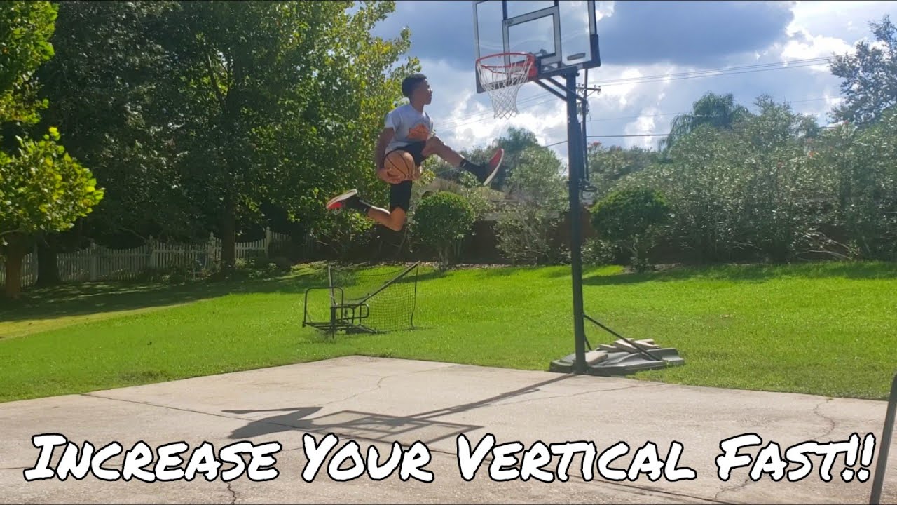 3 Exercises to Increase Vertical and Jump Higher | 5'10 Dunk Journey ...