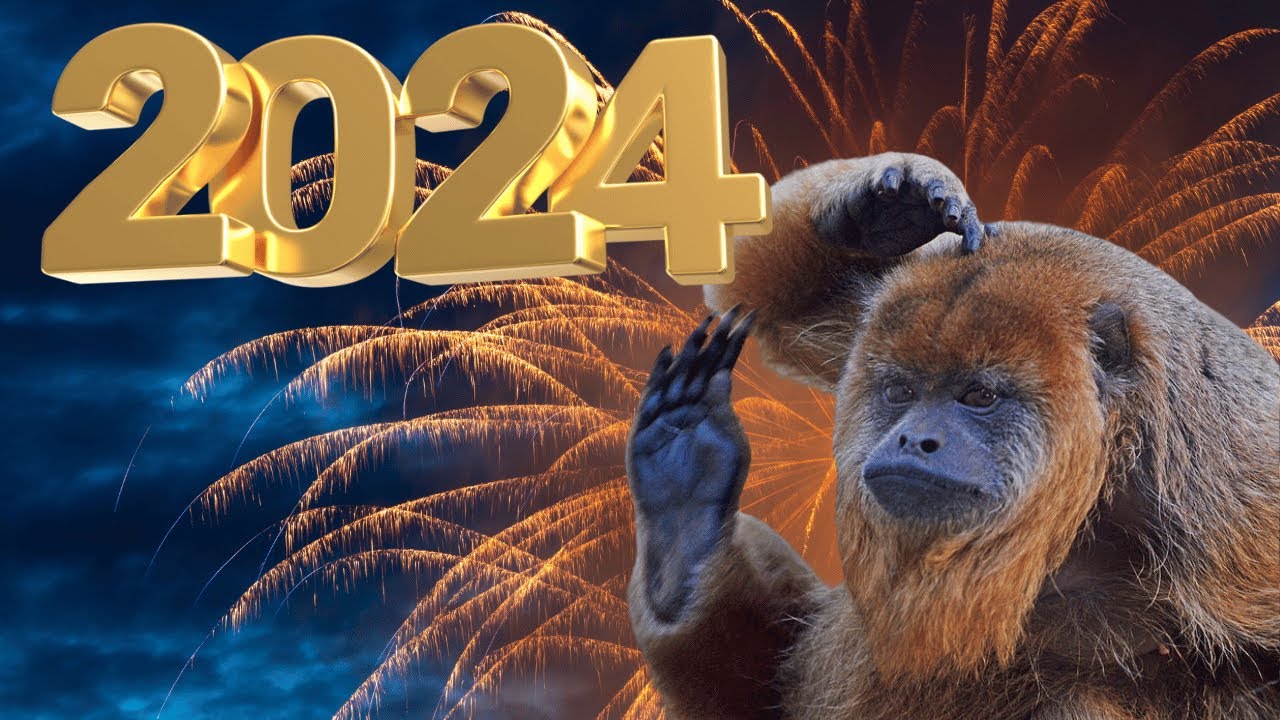 Adeus 2024 E Feliz Ano Novo Para Todos Vocês - YouTube