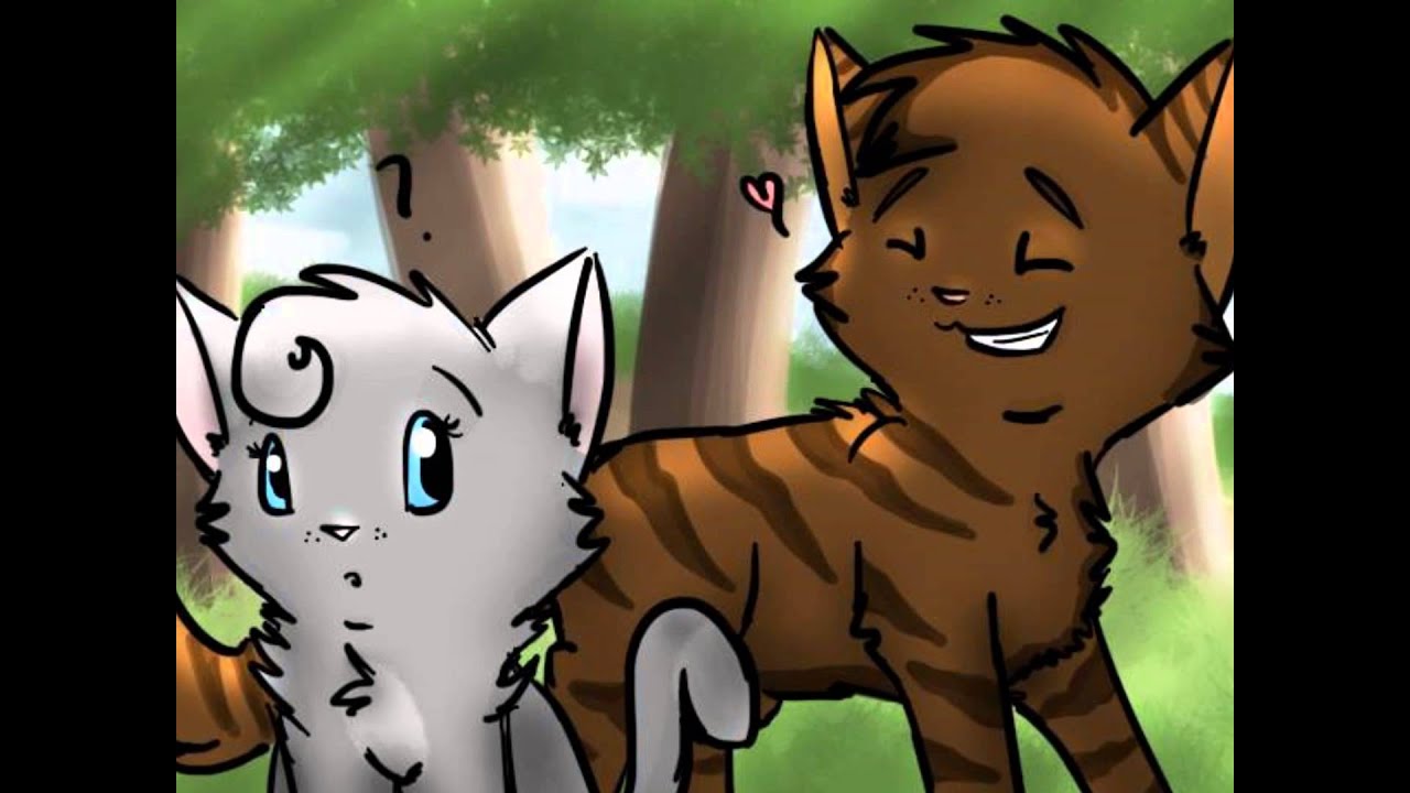 Tigerheart and Dovepaw I Want You - YouTube