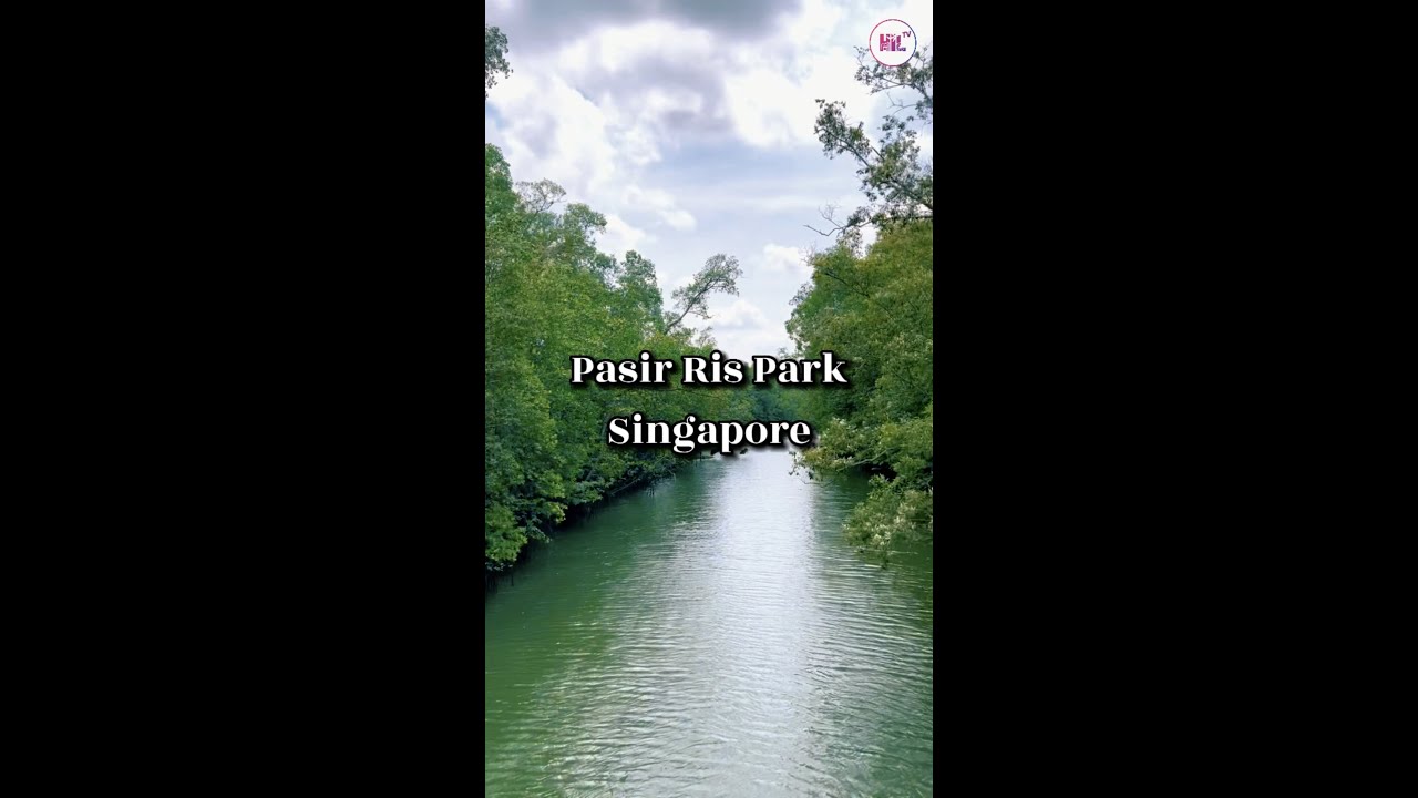 Pasir Ris Park, Singapore | Api-Api River | Beautiful Singapore | Hil ...