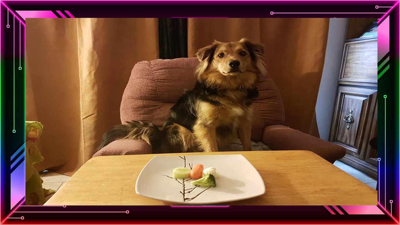 ASMR With Remi \ Remi Plays With Her Food ! - YouTube