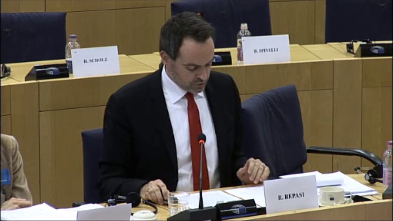 Research @ESL | Dr René Repasi - expert testimony at the European ...