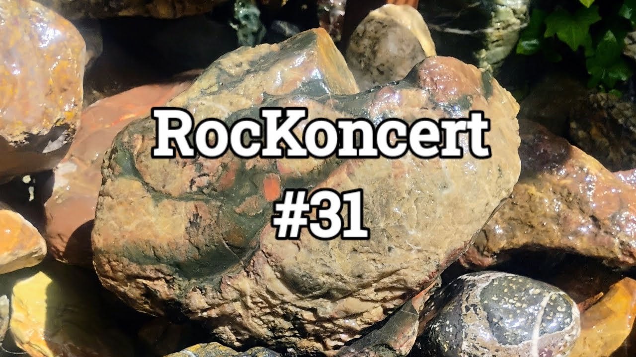 #rockoncerts - RocKoncert # 31 - Northern California Rock Hunting - YouTube
