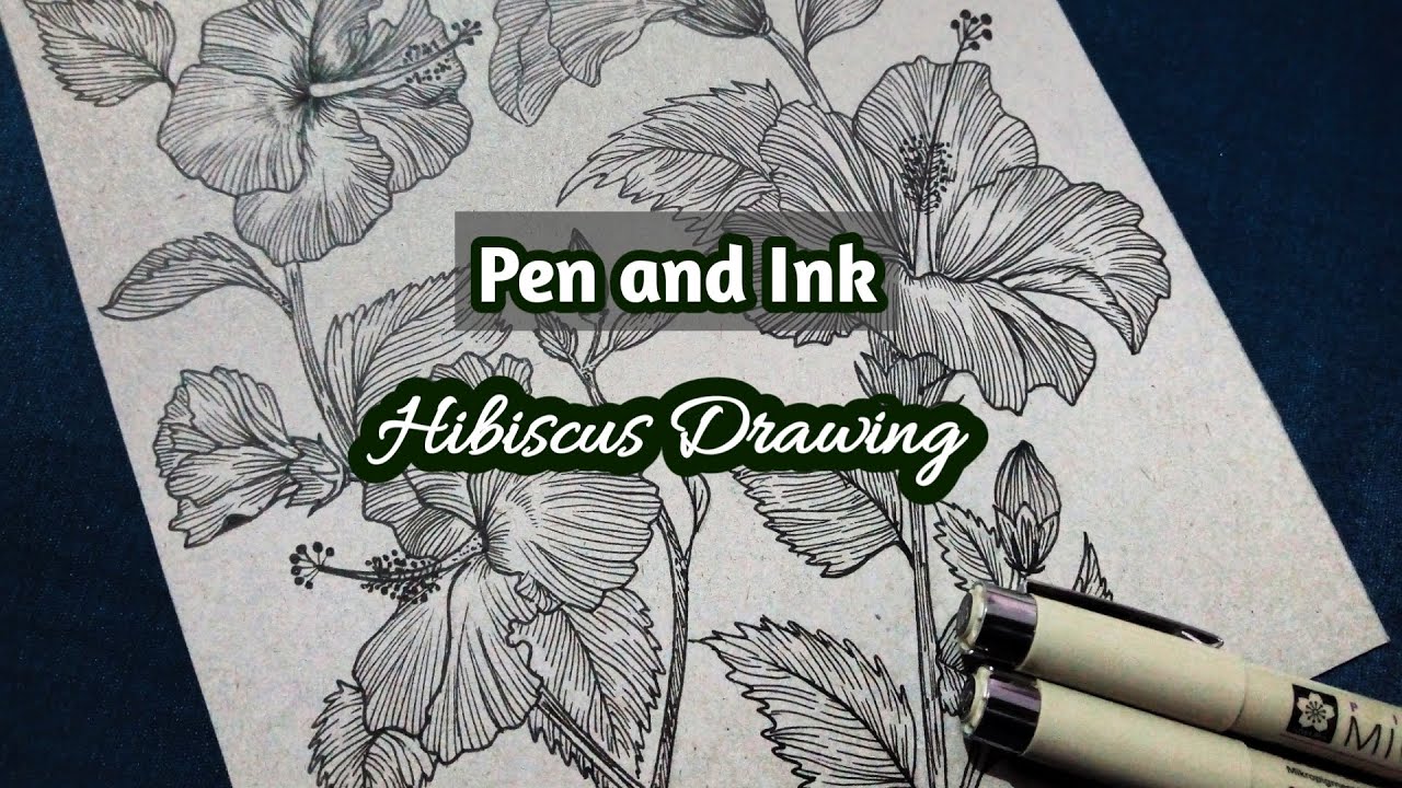How to draw Hibiscus flower using Pen | Pen and Ink drawing - YouTube