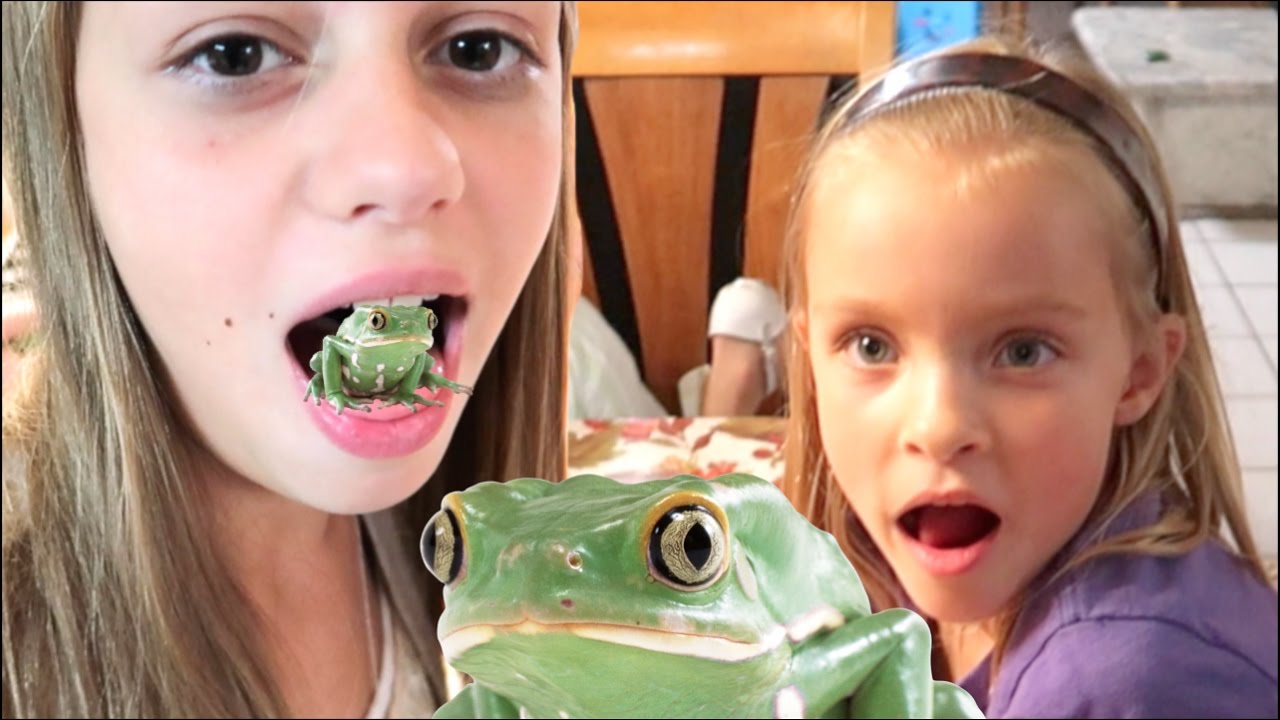 🐸KIDS EAT REAL CHOCOLATE COVERED FROGS😲! FROG BONES ARE CRUNCHY ...