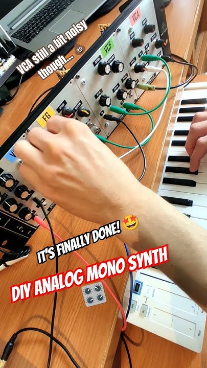 DIY Analog Mono Synth 🎛️ #synth #diy #synthesizer #electronic #sound #music #fun #instrument # ...