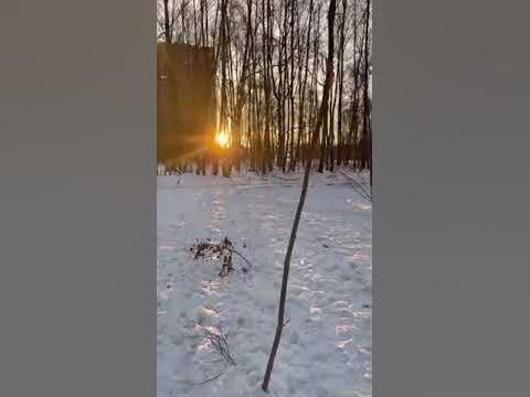 доброе утро Солнце в Сканди Юг - YouTube