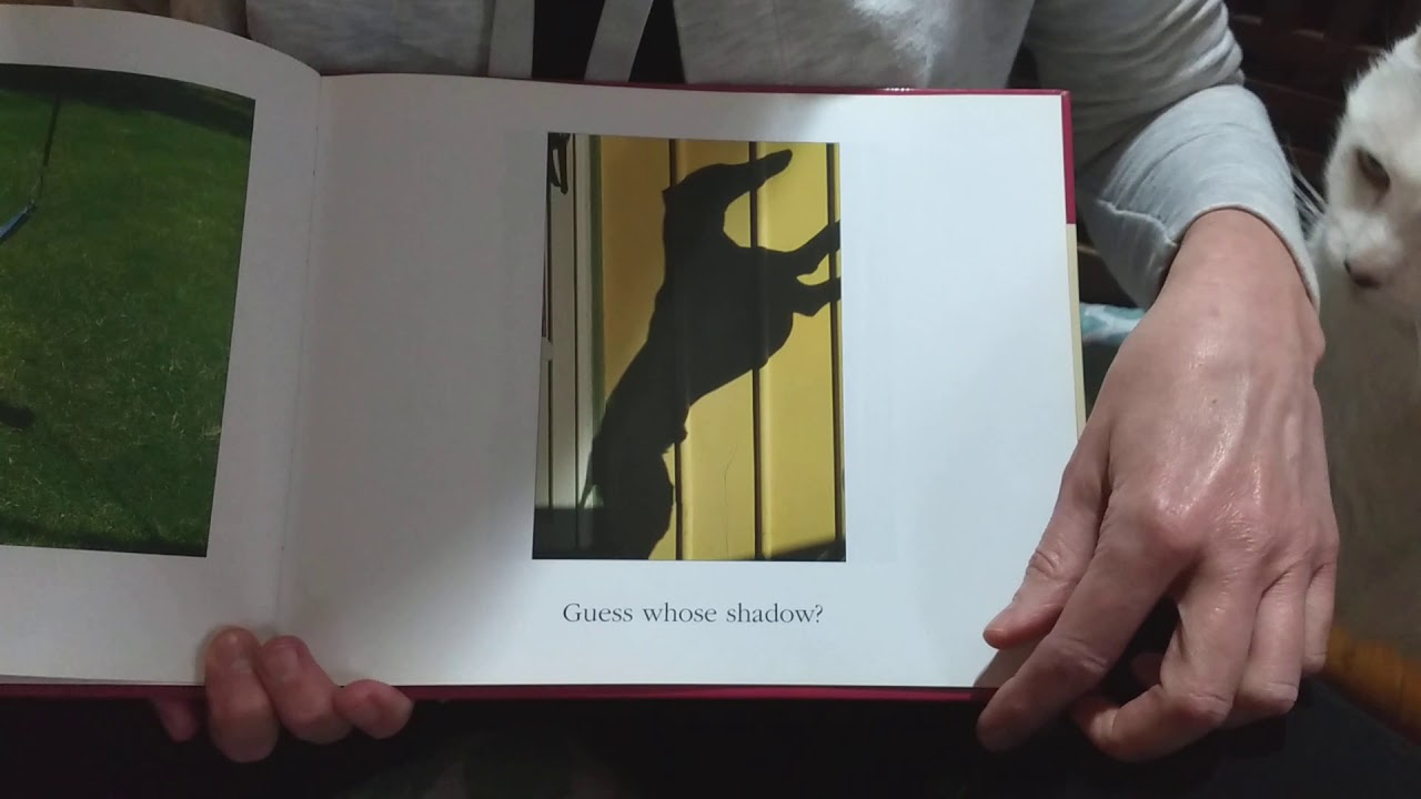 Ms. Burk reads Guess Whose Shadow - YouTube