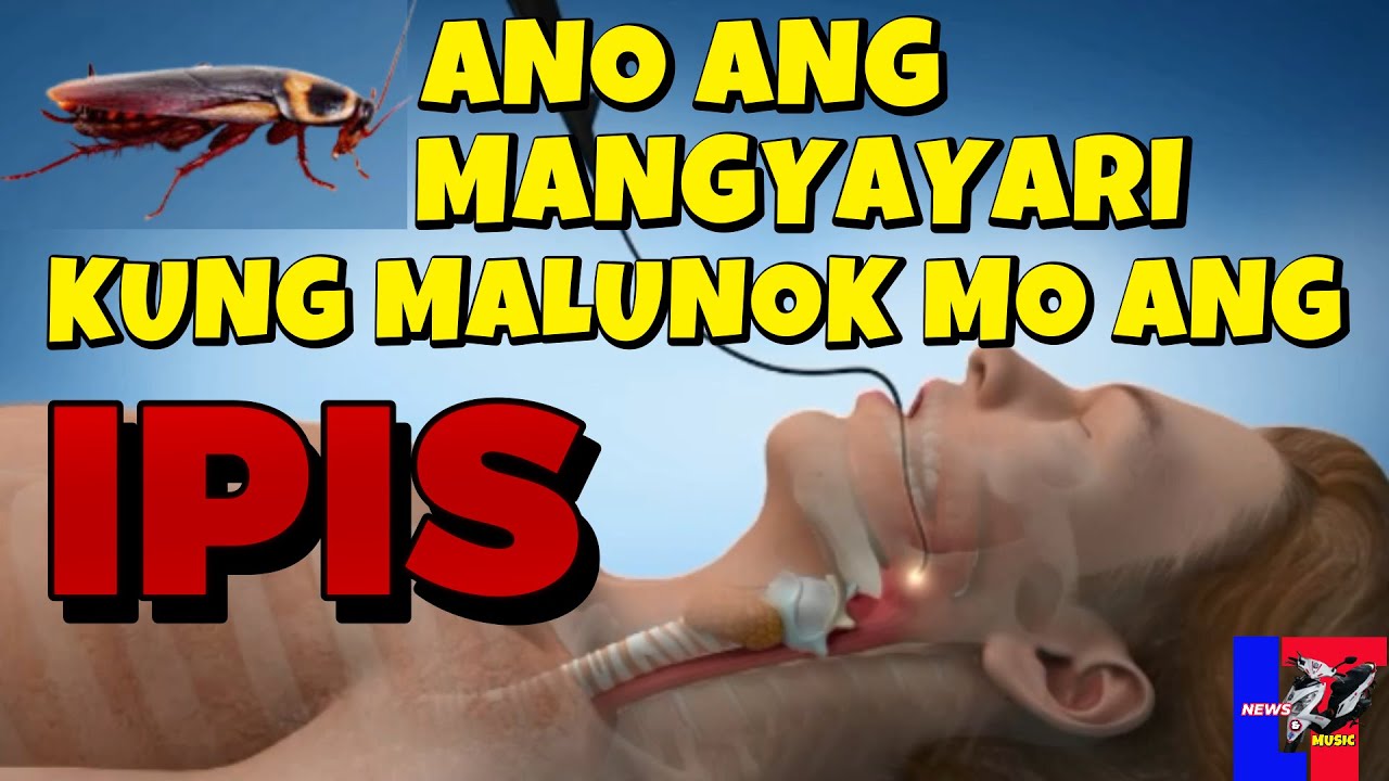 ISANG LALAKE NAKALUNOK NG IPIS #amazing #amazingfacts - YouTube