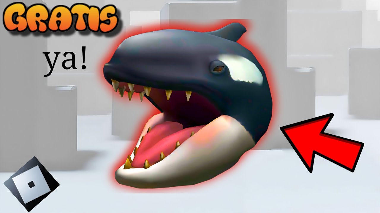 Cómo Conseguir Orca Hambrienta Nuevo Accesorio Gratis😲 En Roblox - YouTube