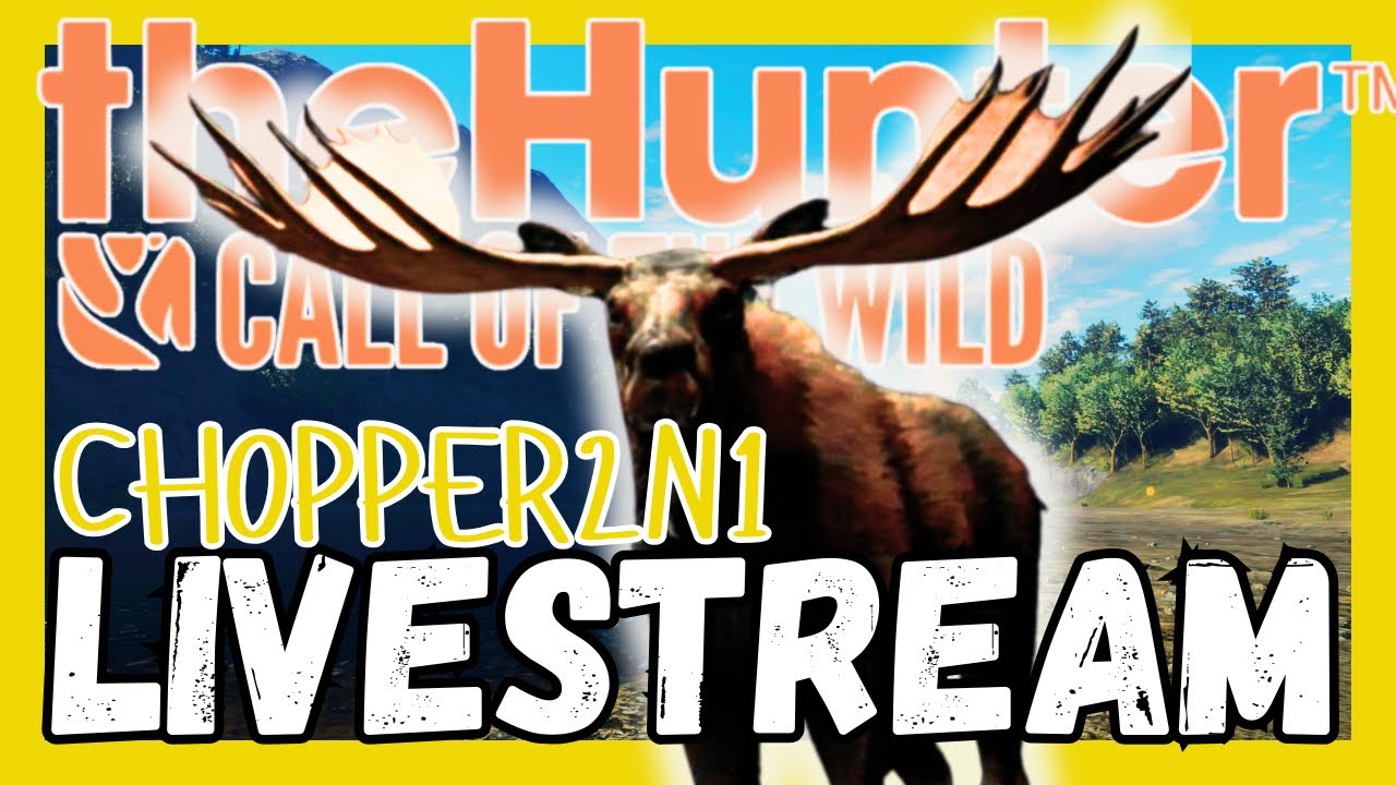 COTW Hunting for diamonds - YouTube