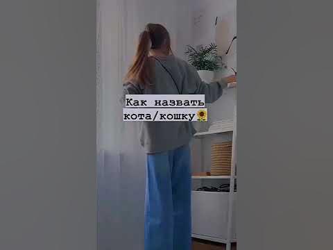 как назвать кошку или кота💛🌻 - YouTube