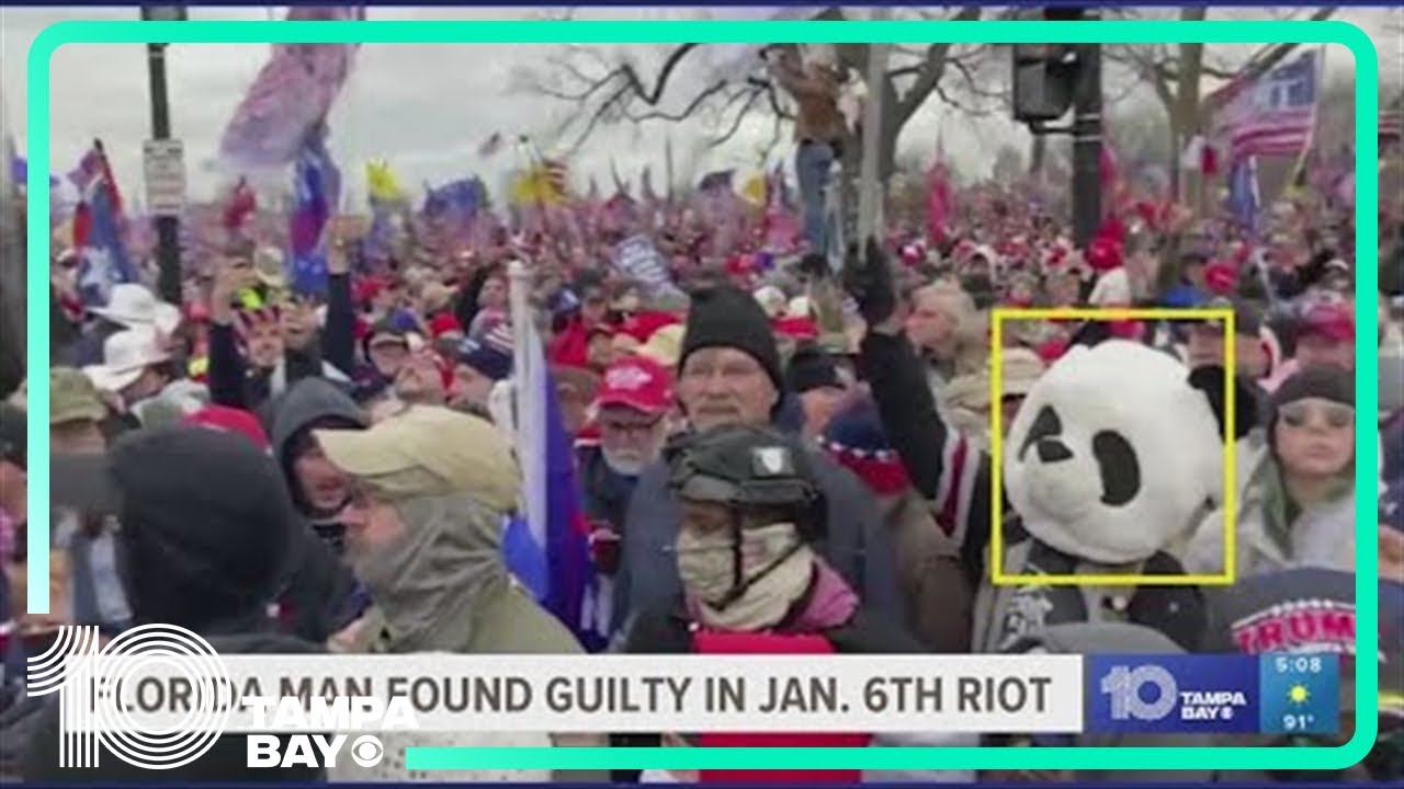 Florida man wearing panda headpiece found guilty in January 6 - YouTube