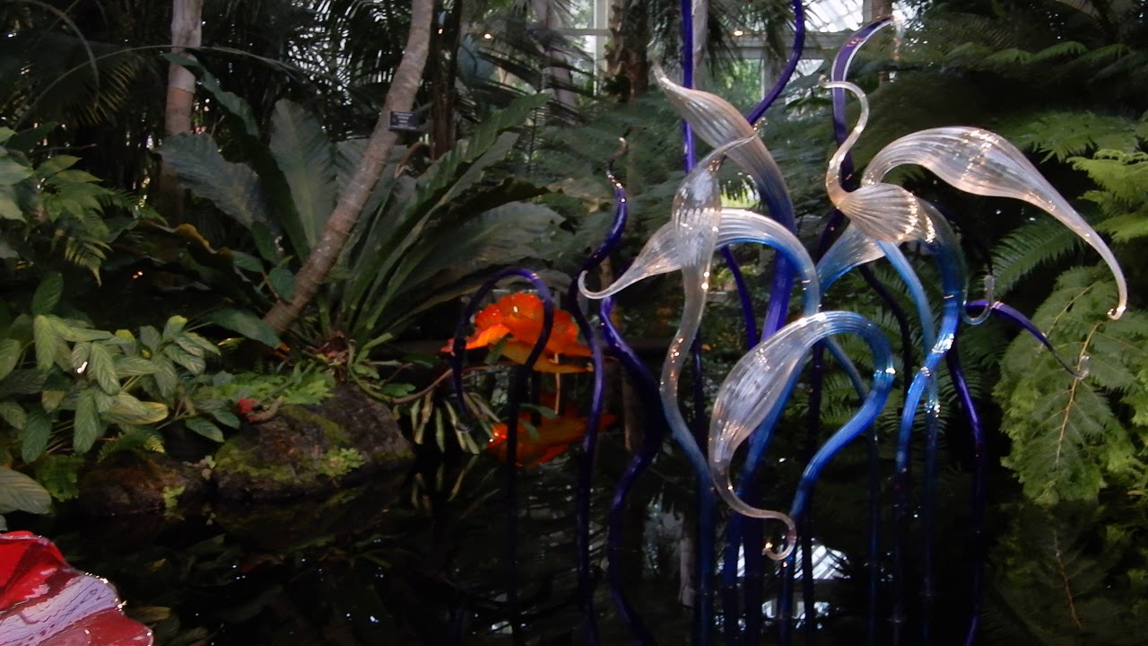 Haupt Conservatory Chihuly Exhibit at NY Botanical Garden - YouTube
