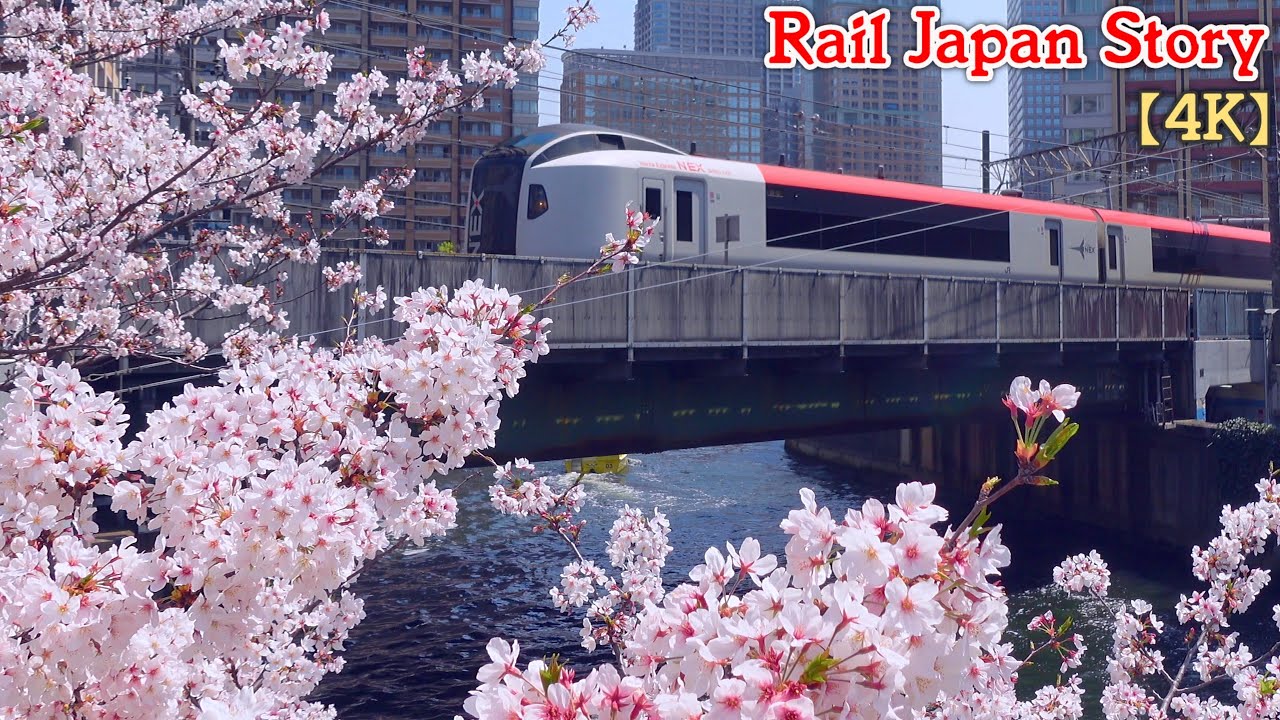 NARITA EXPRESS at Gotanda Station with cherry blossoms, Tokyo, Japan ...