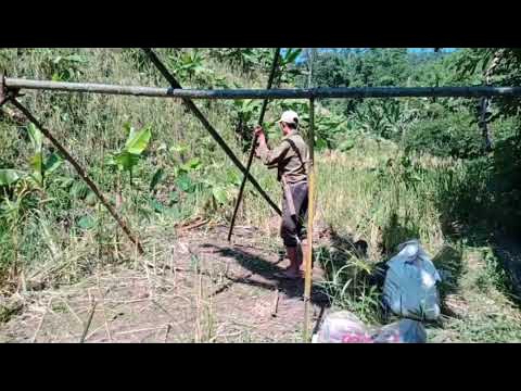 @ hnub no npaj hlai nplej lawm os - YouTube