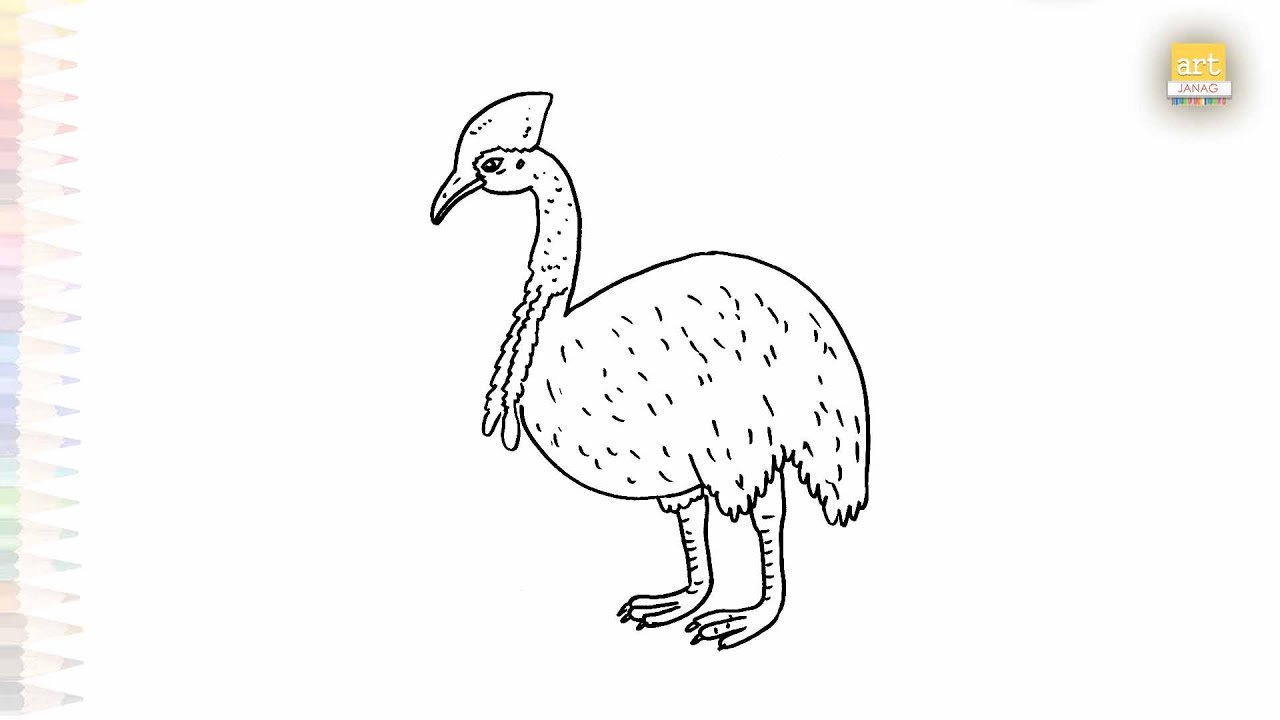 Cassowary