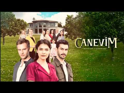 🎧 Ayfer Vardar - Bu hayat böylemi olur? | ( Canevim )