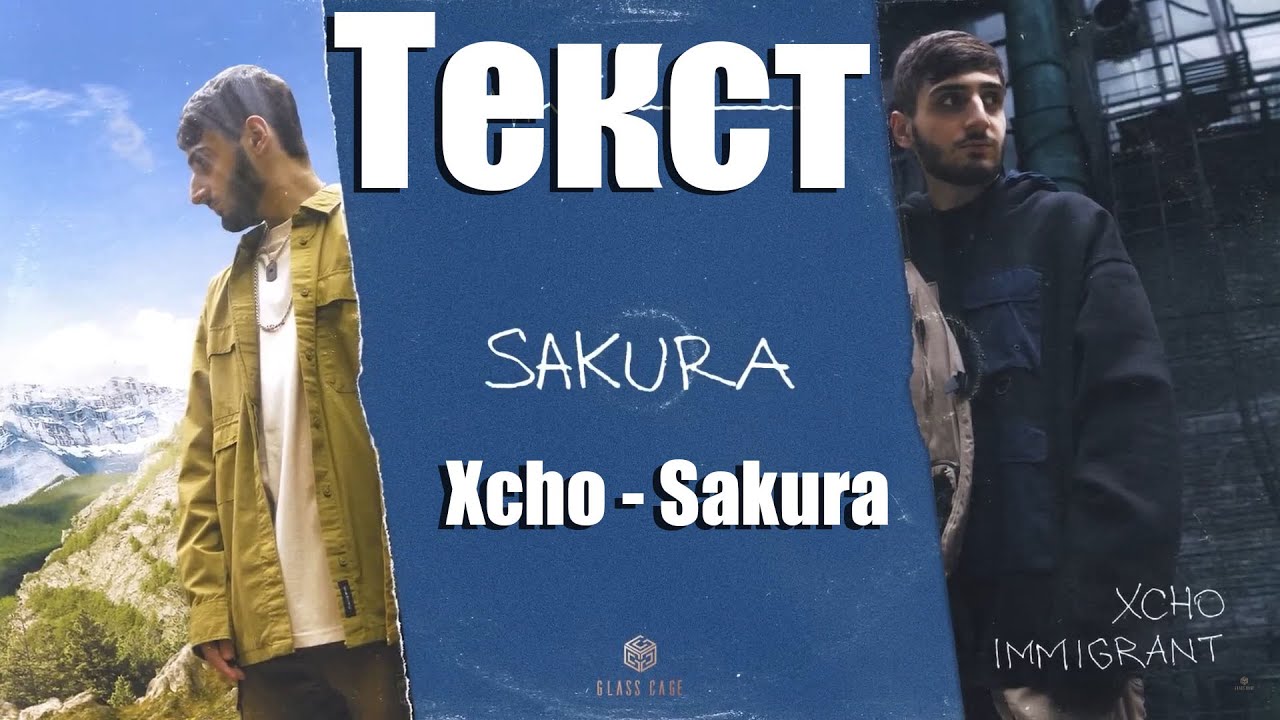 Xcho - Sakura (Текст) - YouTube