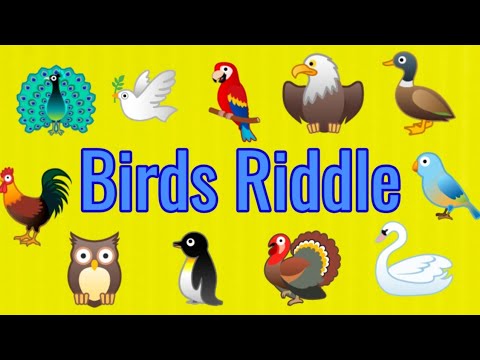 Birds Riddles/Riddles in English/Birds riddles in English - YouTube