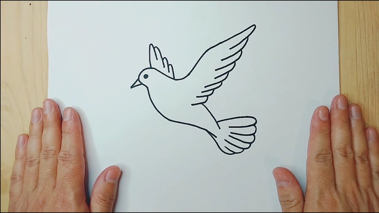 Dibujo De Paloma Facil CÓMO DIBUJAR PALOMA KAWAII PASO A PASO
