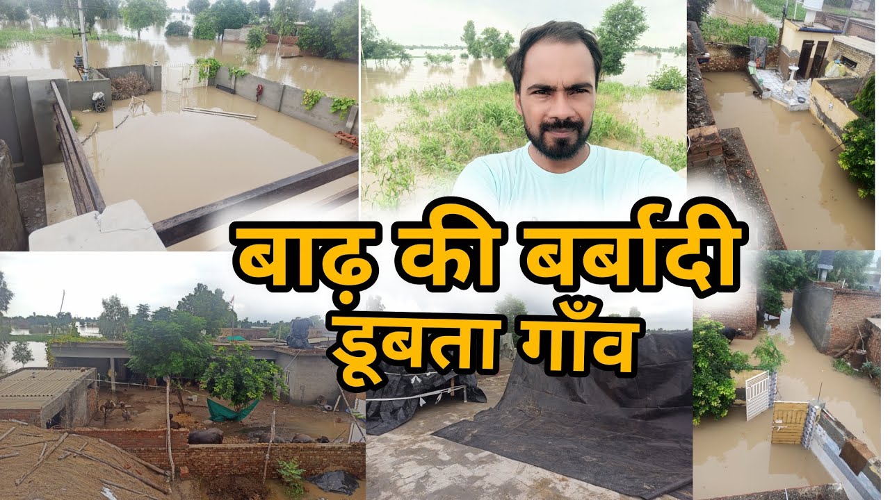 😱बाढ़ की बर्बादी डूबते गांव और 🏠 घर #minivlog #flood #baadh - YouTube