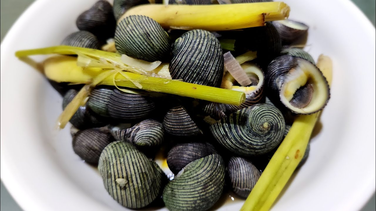 Masakan Kampung..!!! Tekuyung Timba (Panggilan Sabah) @ Siput Laut ...