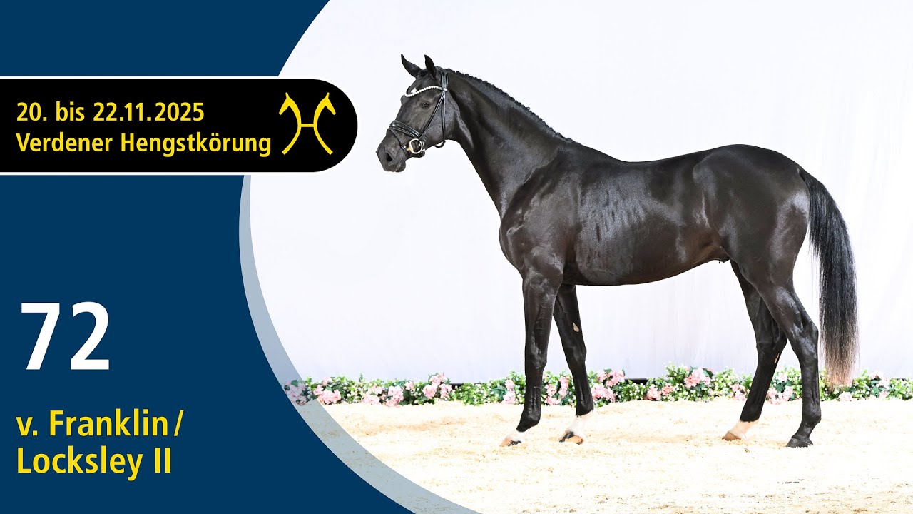 No. 72 Stallion by Franklin - Locksley II | Verden Stallion Licensing ...