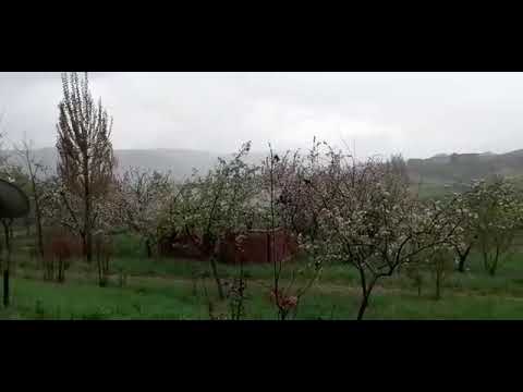 Saratovka.Yaz yağışı.🤗