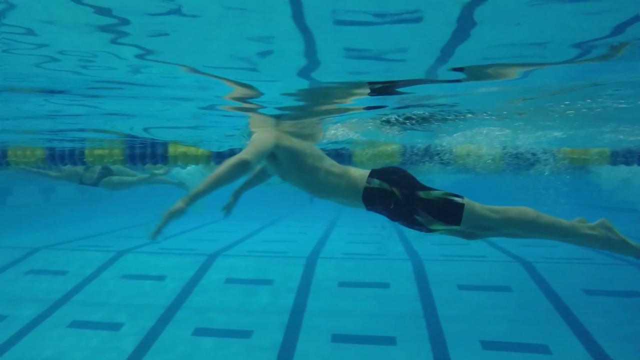 Swimming Technique - Breast arms fly kick - YouTube