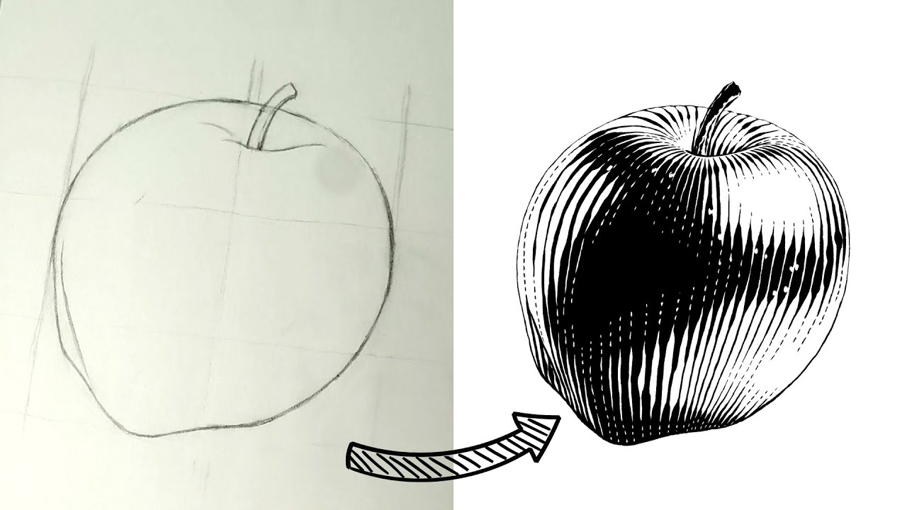 How to Draw Engraving Style Illustrations (Step-by-Step) - YouTube