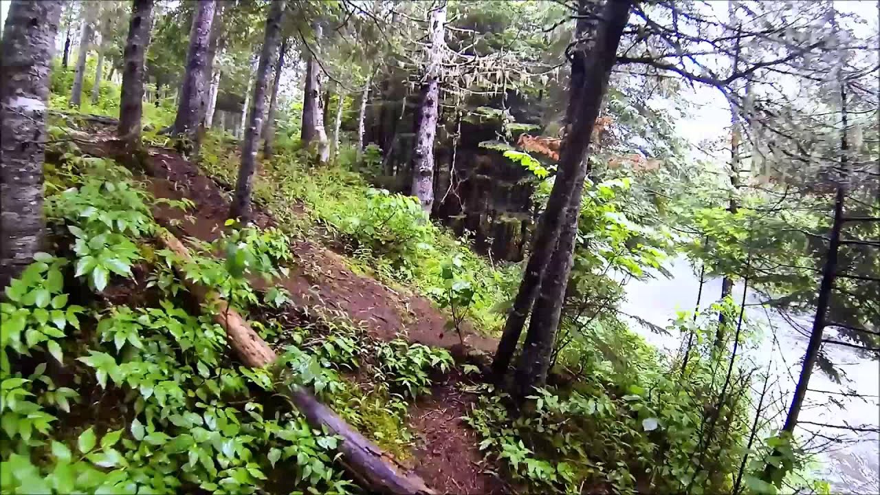Porter Brook Falls the trail - YouTube