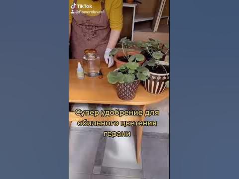 Супер удобрение для герани. 🌺🌻🌹🌷 - YouTube