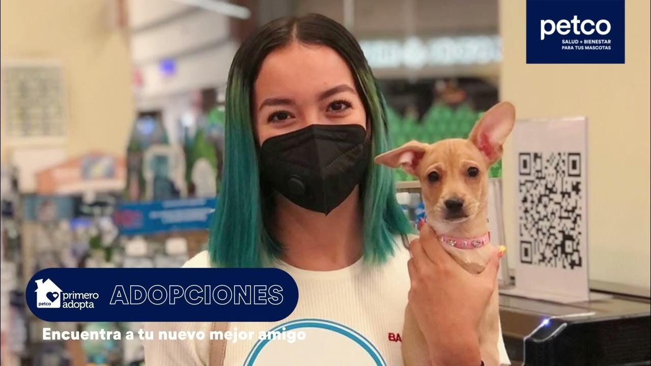 ¡Te invitamos a nuestra nueva tienda Petco Playa del carmen II! - YouTube