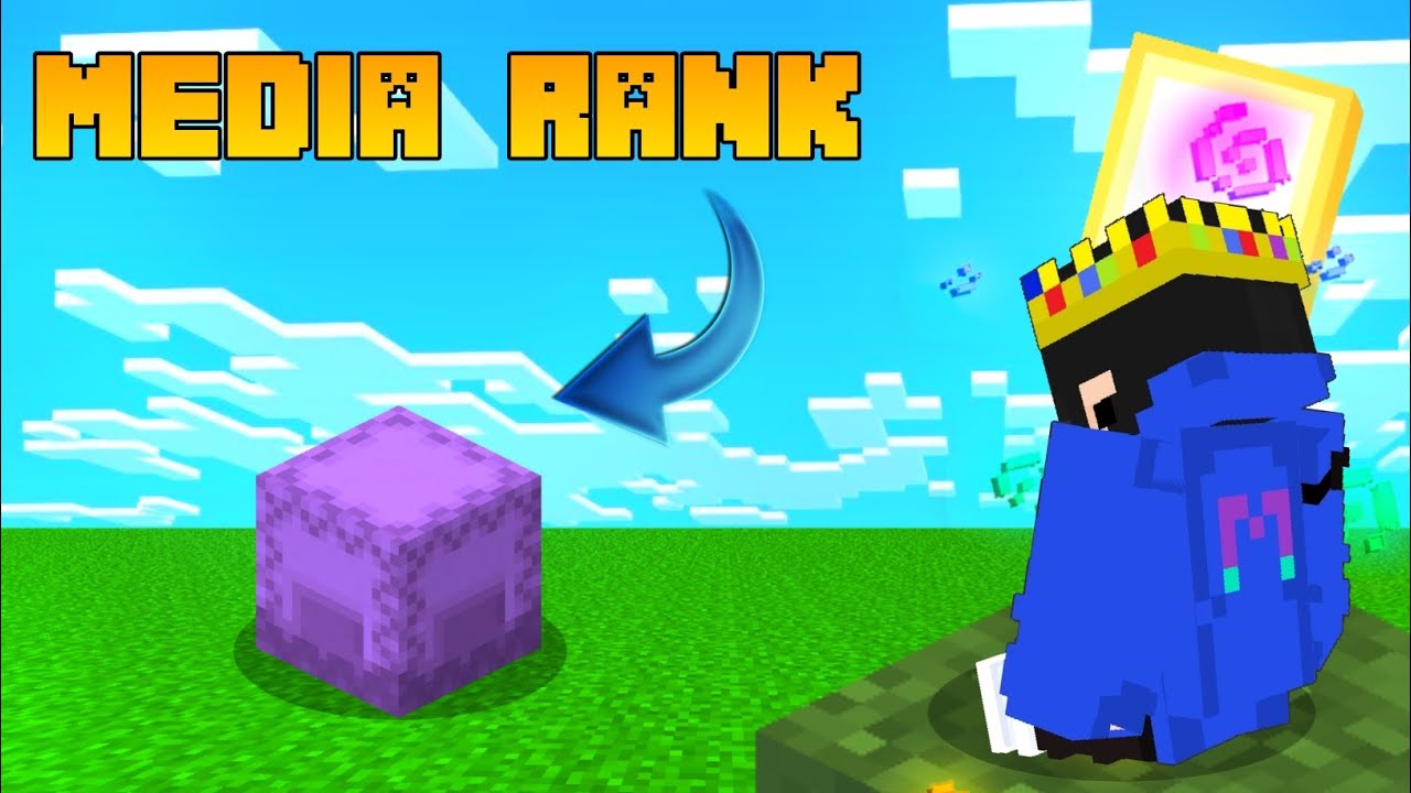 How I got media rank in this Minecraft public lifesteal smp - YouTube