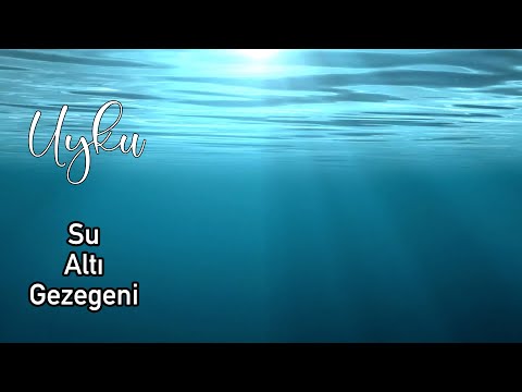 Su Altı Gezegeni - Uyku
