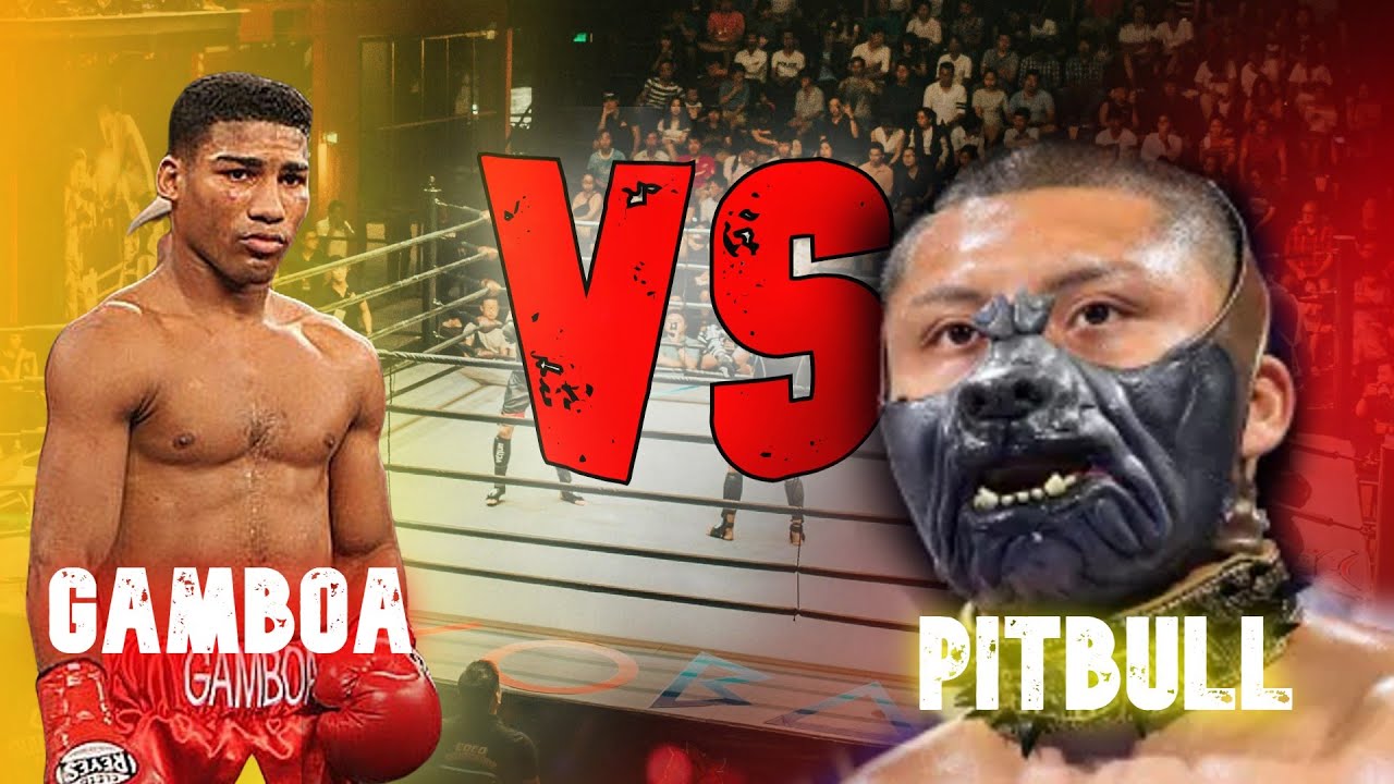 Isaac "Pitbull" Cruz VS Yuriorkis Gamboa - HIGHLIGHT - FULLFIGHT ...