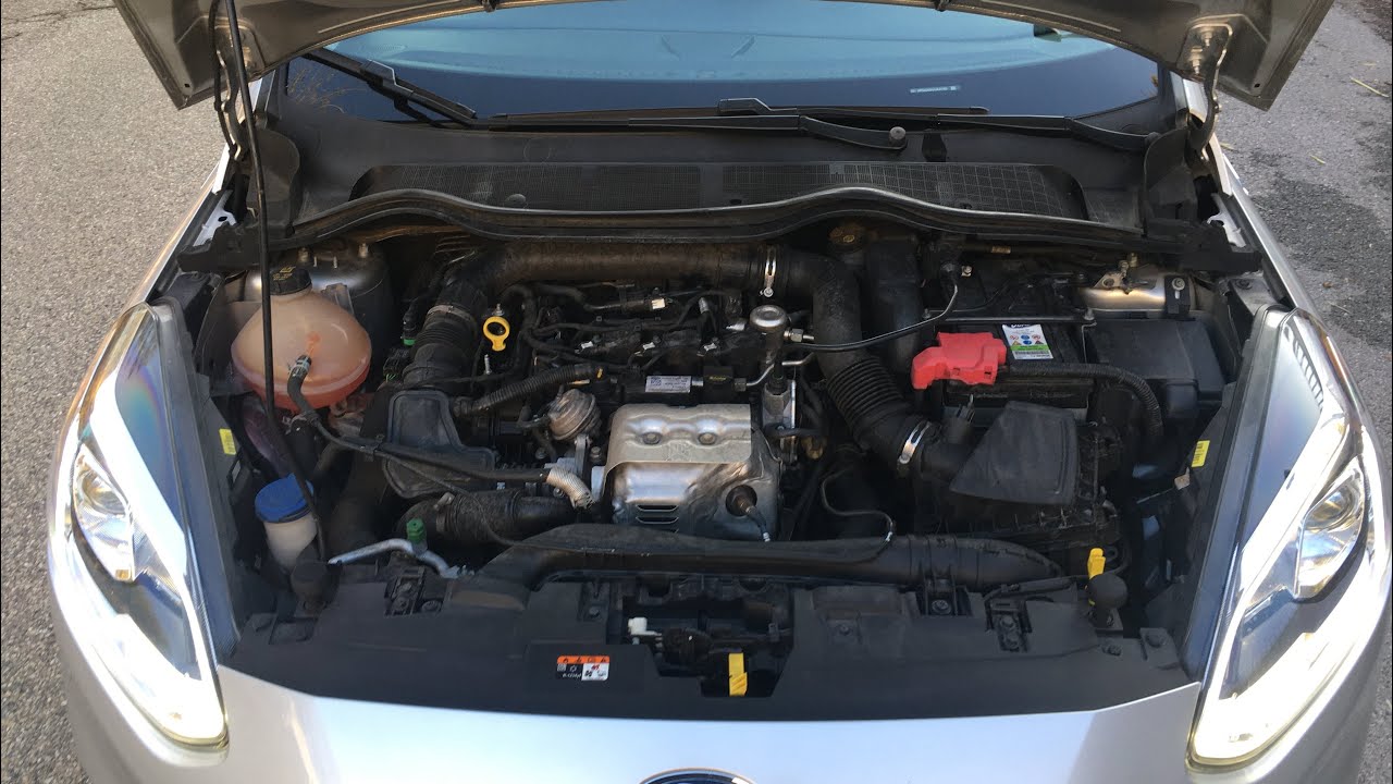 FORD Fiesta 1.0 Ecoboost 100 CV “motore” - YouTube