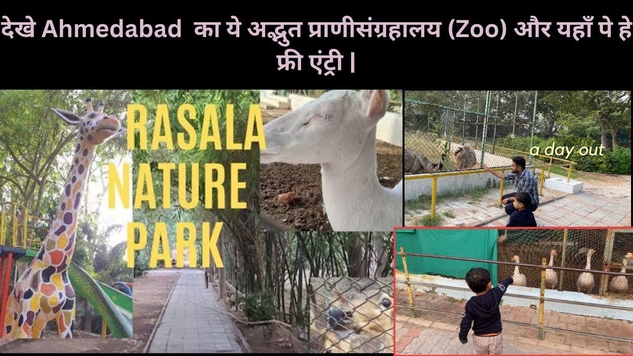 Free Zoo in Ahmedabad | Rasala Nature Park | Ahmedabad City - YouTube