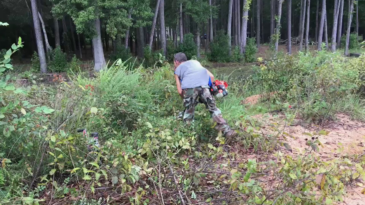 Lake clean up - YouTube