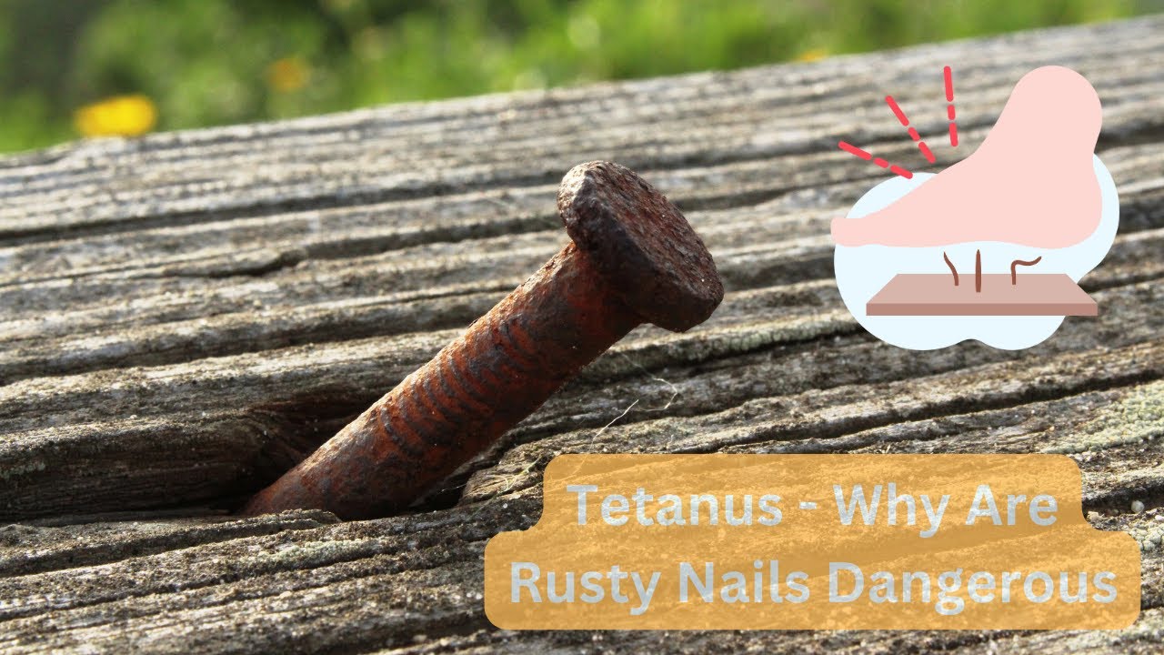 What is Tetanus - The Hidden Danger in Rusty Nail (3 Minutes) - YouTube