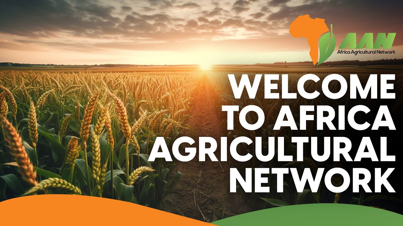 Welcome to Africa Agricultural Network - YouTube