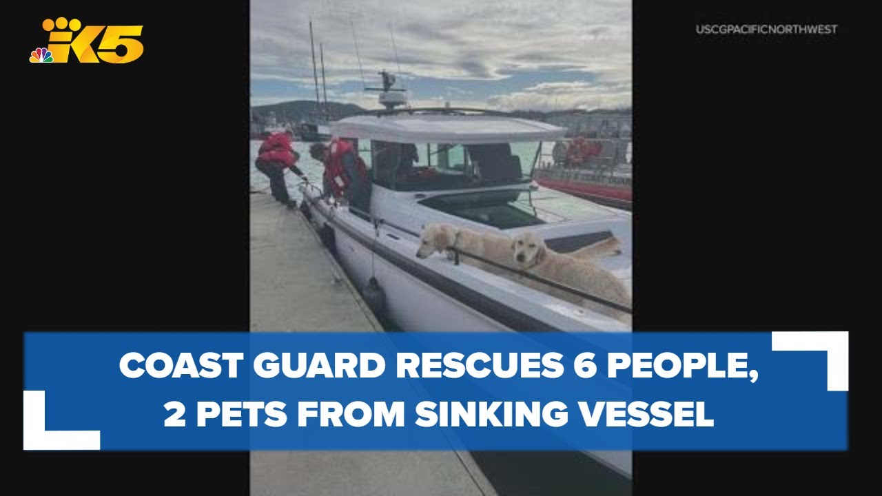 Coast Guard rescues 6 people, 2 dogs from sinking vessel in Rosario ...