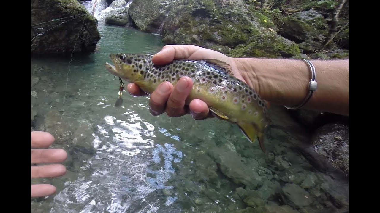 PESCA : " FARIO TORRENTI & ARTIFICIALI" SPINNING ALLA TROTA IN TORRENTE - YouTube