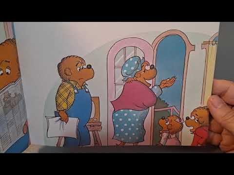 The Berenstain Bears Too Much TV by Stan and Jan Berenstain - YouTube