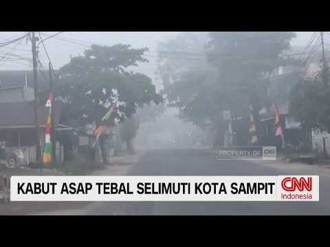 Kabut Asap Selimuti Sampit, Warga Keluhkan Bau Menyengat