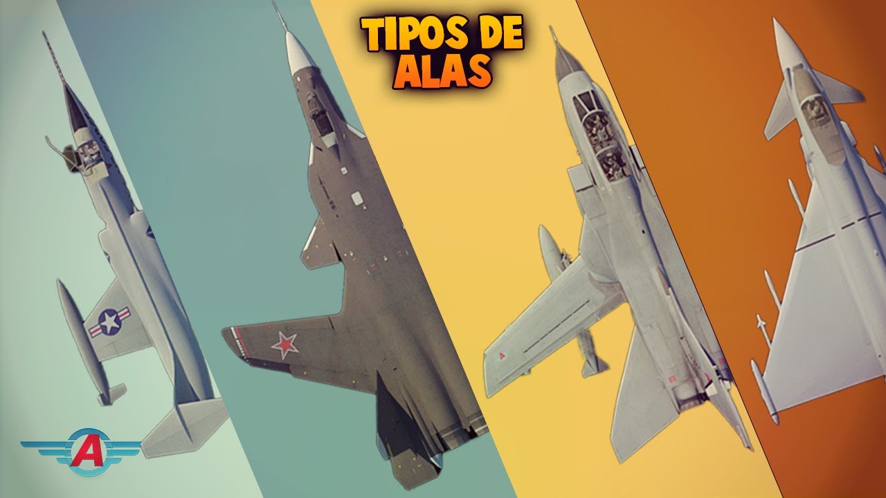 ¿Sabes por qué hay tantos tipos de alas? - YouTube