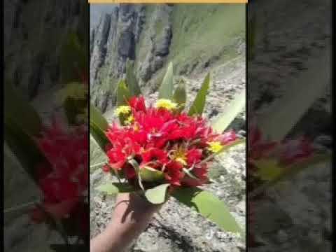 ŞAİR AZER GEDEBEYLİ  O QİZ HELE MENİM ÜREYMDEDİ                              17 09 201