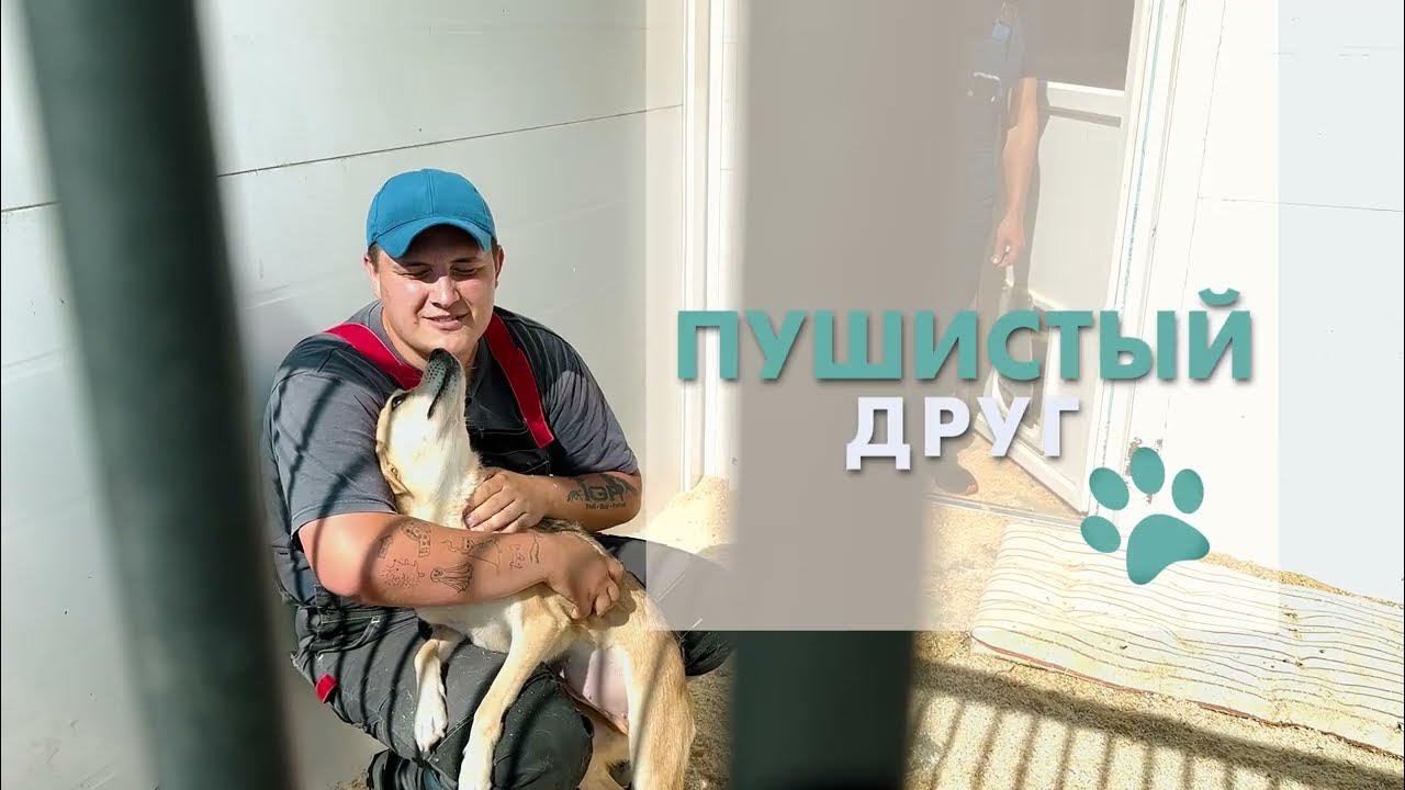 Спасение щенков в приюте для животных «Пушистый друг ТиНАО Youtube